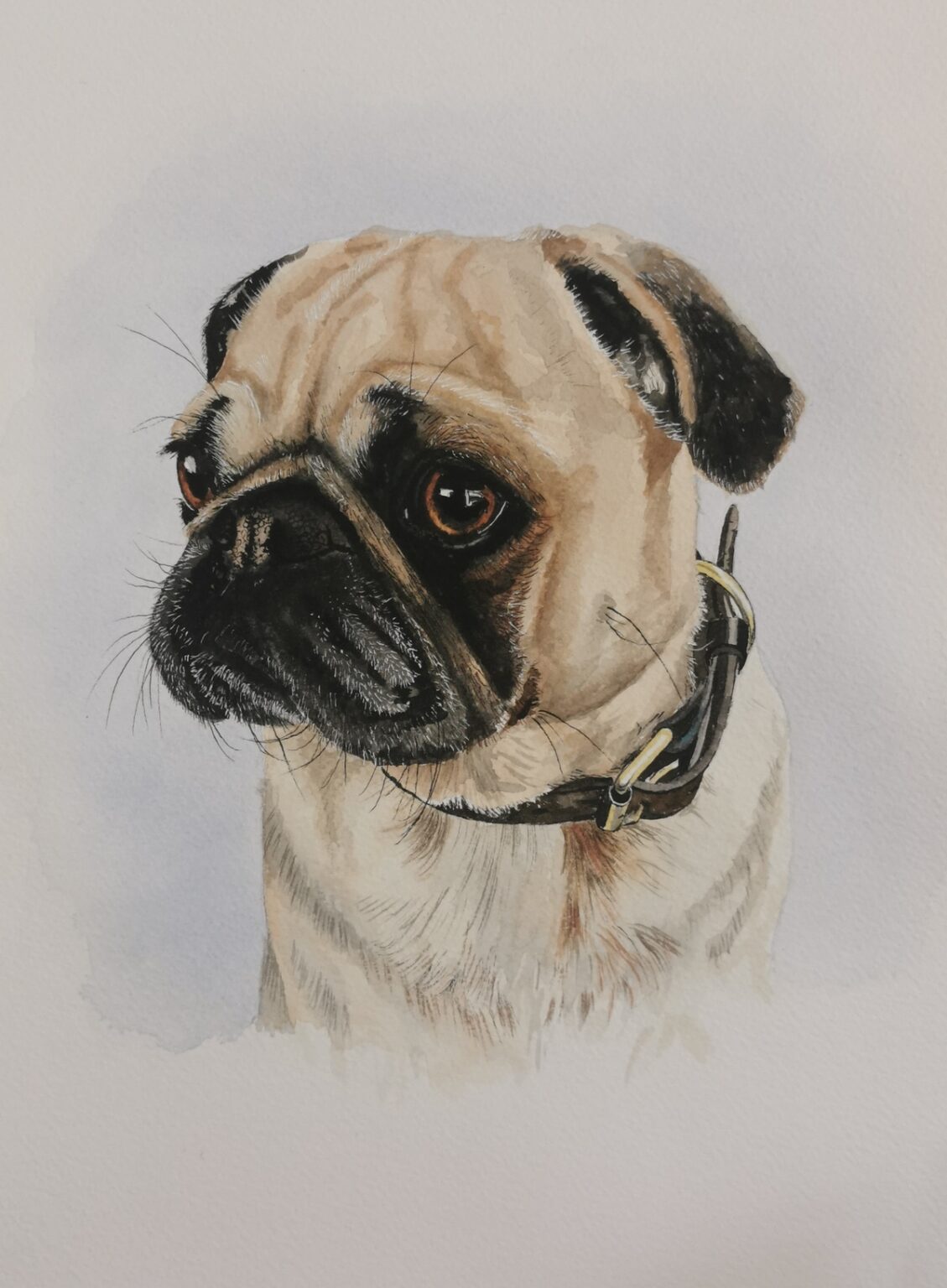 Prices - Kate Finlayson Portraits