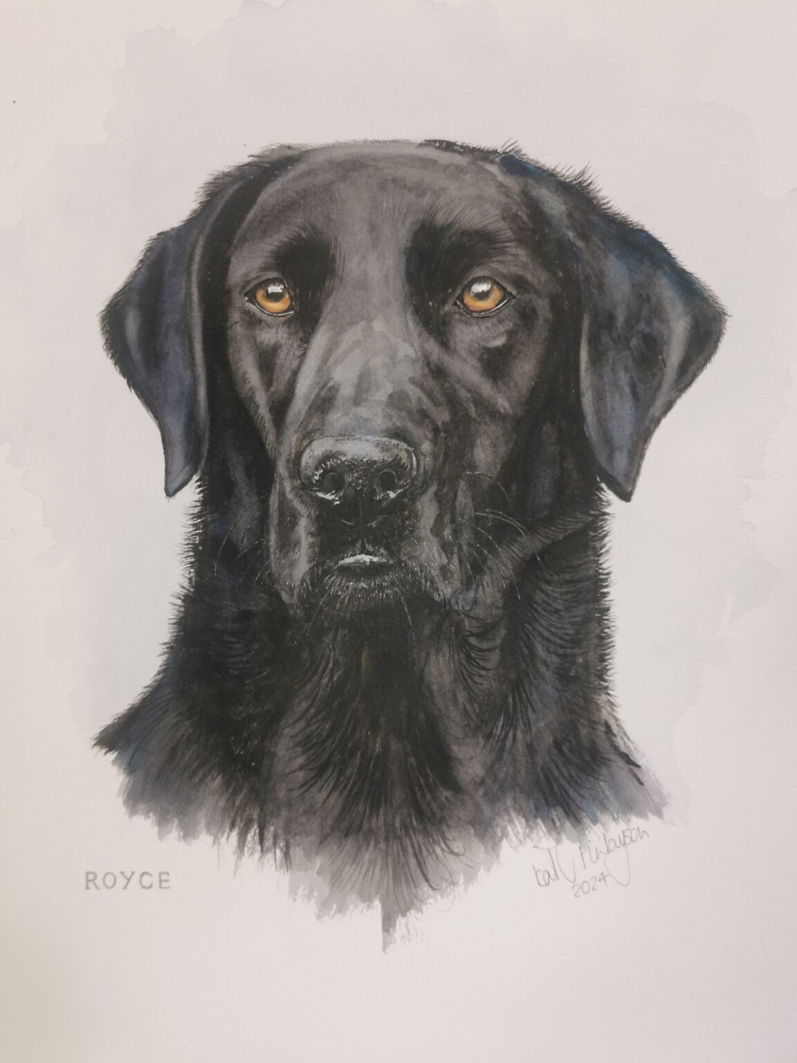 Prices - Kate Finlayson Portraits