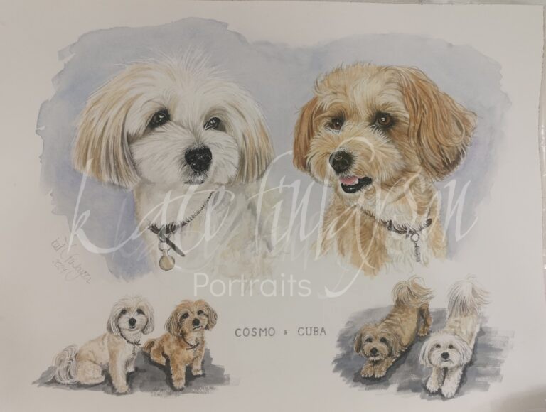 Prices - Kate Finlayson Portraits
